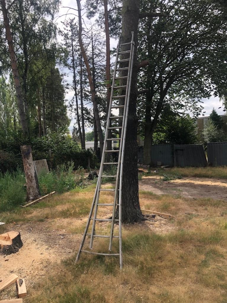 ② Ladder solide & alu platform — Ladders en Trappen — 2dehands